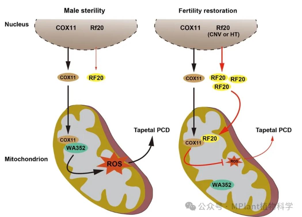 岳麓山实验室欢迎您